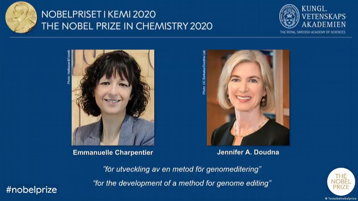 Dos mujeres ganan Premio Nobel de Química 2020 – DW – 07/10/2020