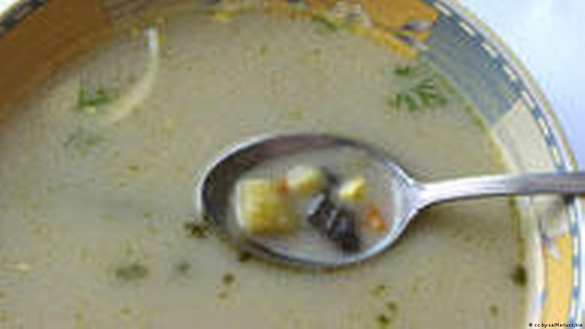 Sopa de setas silvestres – DW – 07/05/2010
