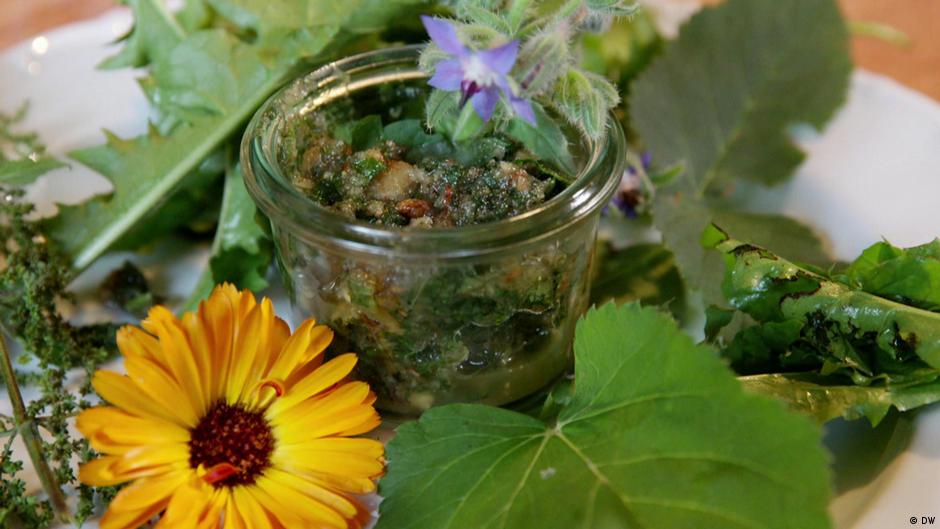 Fresh, regional and chemical-free – cooking with weeds – DW – 10/17/2020