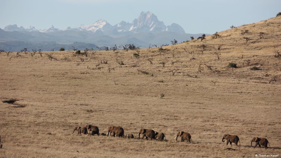 Sustainable nature conservation in Kenya