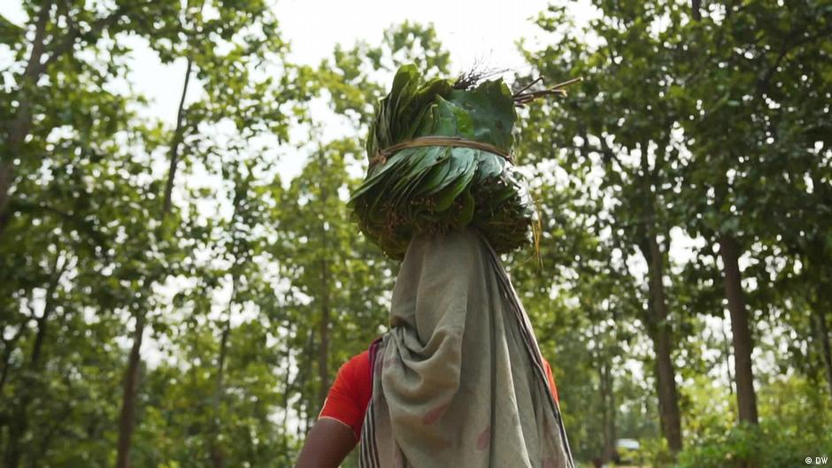 India's solar man – DW – 11/13/2020