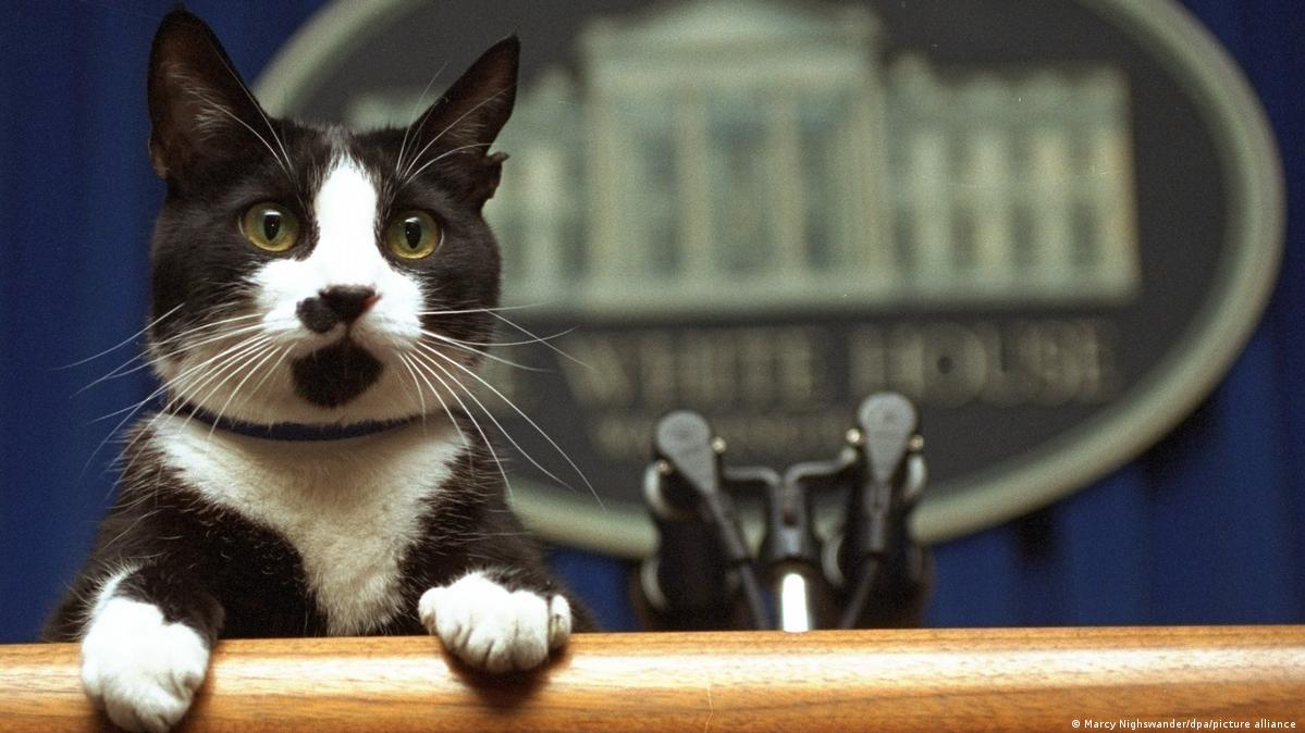 First Pets: Famous presidential companions – DW – 12/21/2021