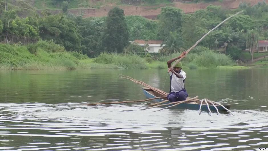 Rwanda restocks lakes to boost fish production – DW – 10/01/2021