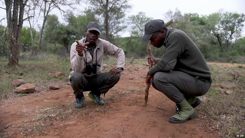 Saving wildlife with ancient hunting skills in South Africa