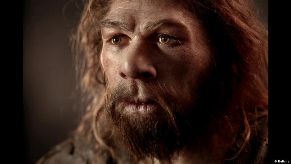 Der Neandertaler - Auf den Spuren unserer Vorfahren