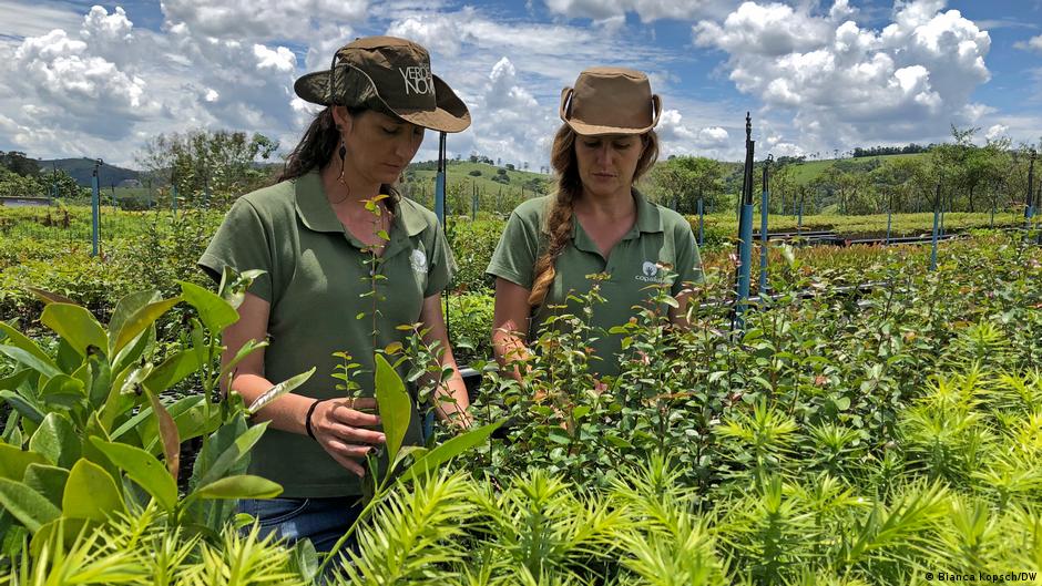 Brazil: Reforestation to replenish water supplies