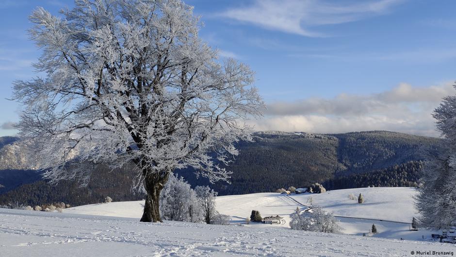 10 reasons to visit the Black Forest