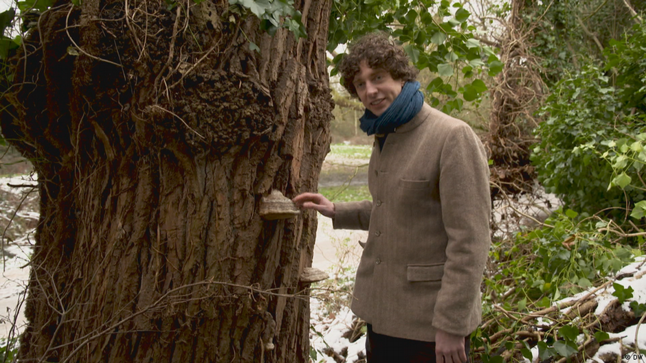 Biologist Merlin Sheldrake and the world of fungi – DW – 02/13/2021