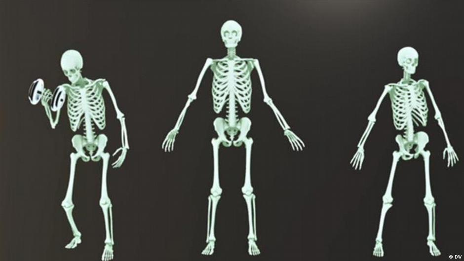 Knochen - kurz erklärt – DW – 12.03.2021
