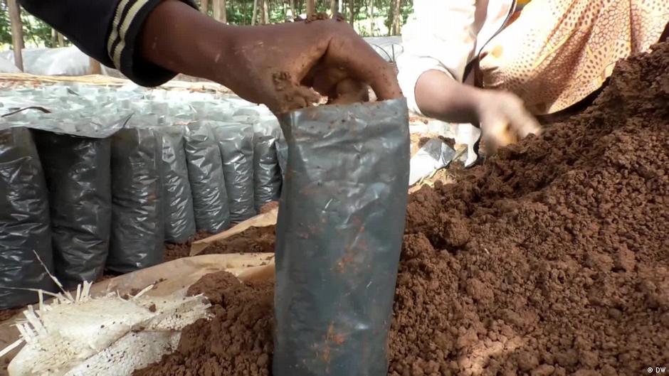 Tracking and recycling banned plastic in Rwanda – DW – 07/15/2021