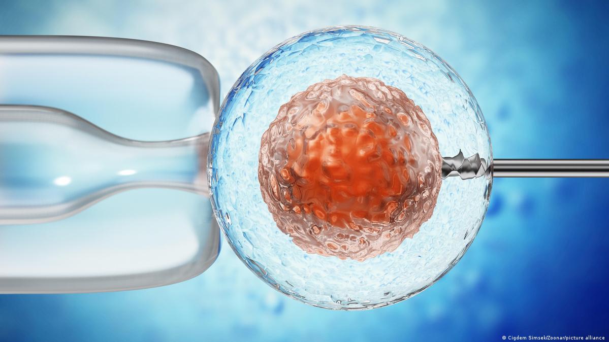 Embryonic research – DW