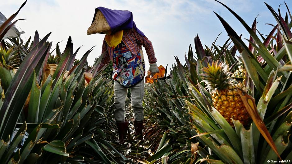 Himma dai Matasa: 22.12.2021 – DW – 12/22/2021