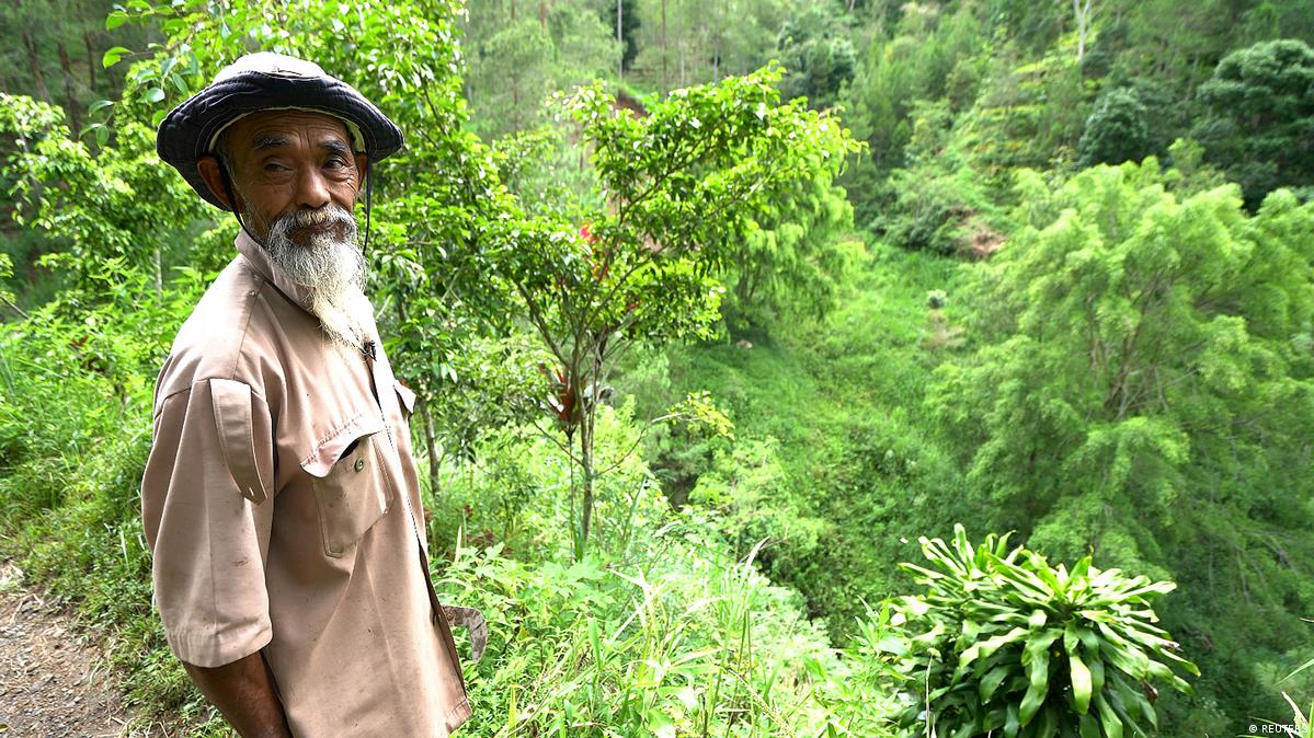 Pernah Dicap Gila, Sadiman Tanami Perbukitan dengan Beringin – DW – 03. ...