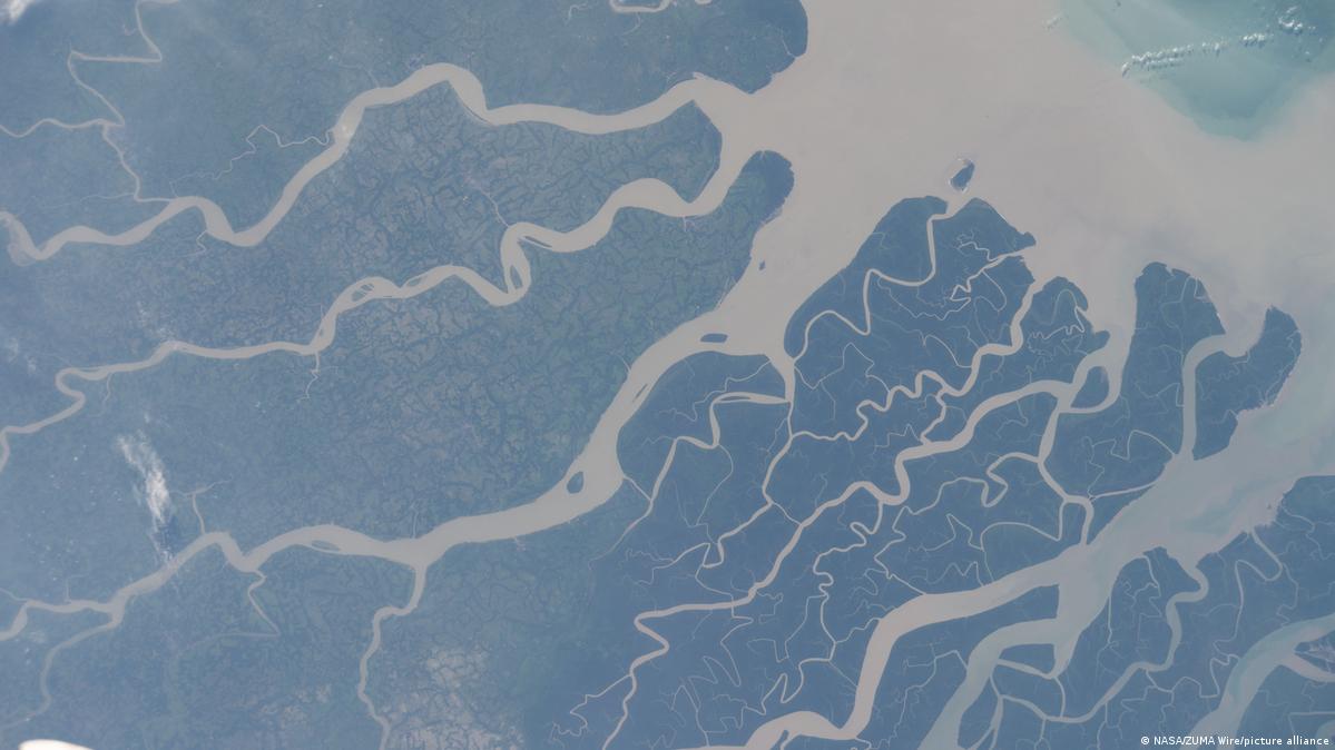 Sundarbans' climate refugees face an uncertain future – DW – 03/21/2022