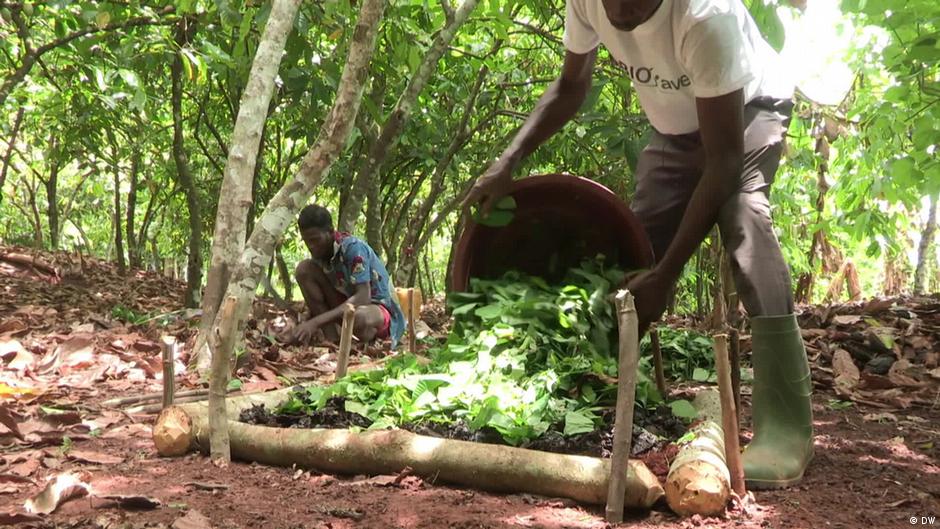 Smarter agriculture in Ivory Coast