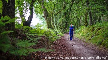 St. James' Way pilgrimage routes in Germany – DW – 05/31/2021