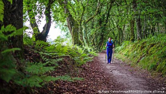St. James' Way pilgrimage routes in Germany – DW – 05/31/2021