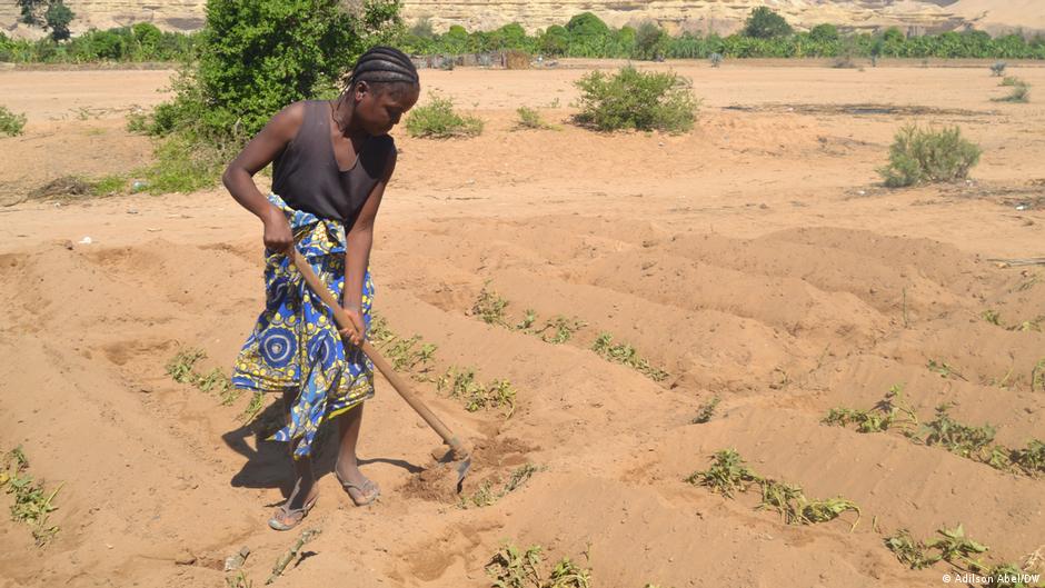 Como combater a seca no sul de Angola – DW – 15/04/2022