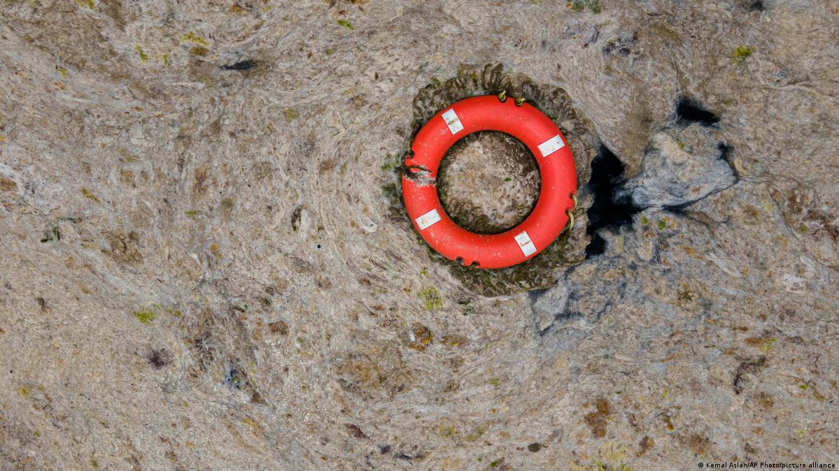 Turkey's 'sea snot' is a growing environmental threat – DW – 06/08/2021