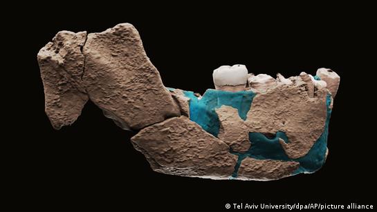 Fossilized bones of prehistoric human found in Israel – DW – 06/24/2021