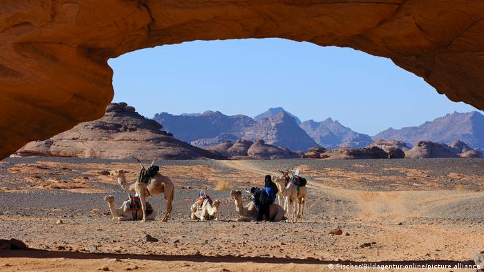 Libya′s battle to protect its endangered forests | Global Ideas | DW ...