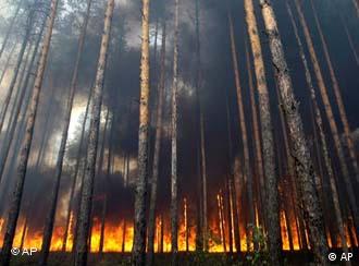 Nuclear fires – DW – 08/12/2010