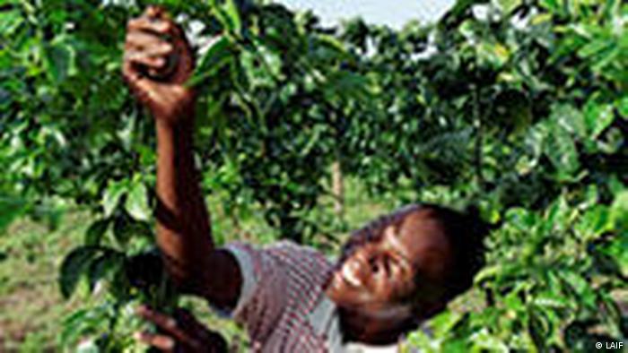 exode rural en afrique