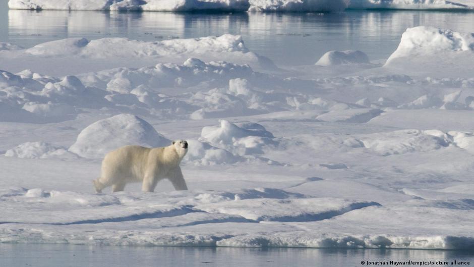 Scientists urge leaders to save Arctic – DW – 11/02/2021