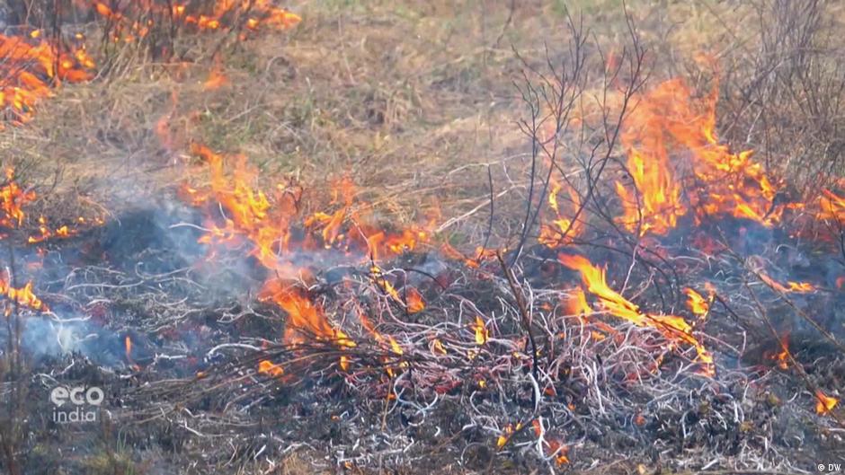 How to stop the world from burning – DW – 08/20/2021