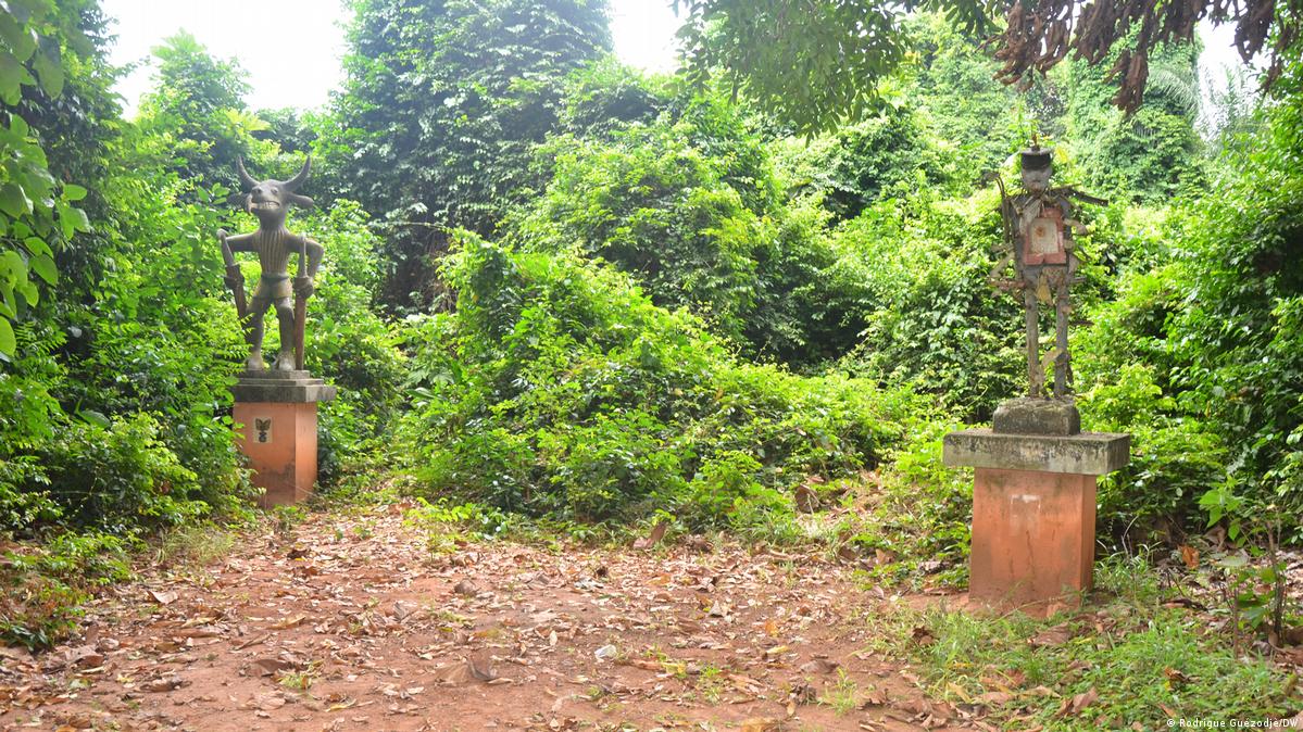 Bénin : S.O.S en faveur de la forêt sacrée de Ouidah – DW – 25/08/2021