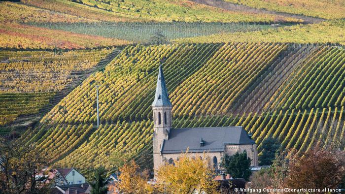 Germany′s most beautiful wine festivals | All media content | DW | 03. ...