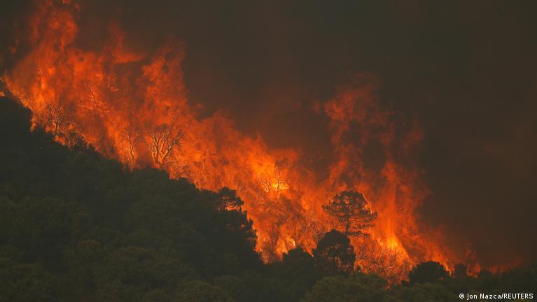 In pictures: Deadly extreme weather shocks the world – DW – 09/14/2021