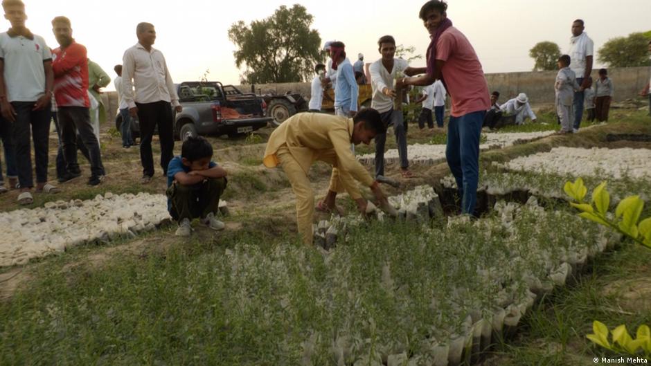 Desert tree-planting drive bearing fruit – DW – 04/14/2022