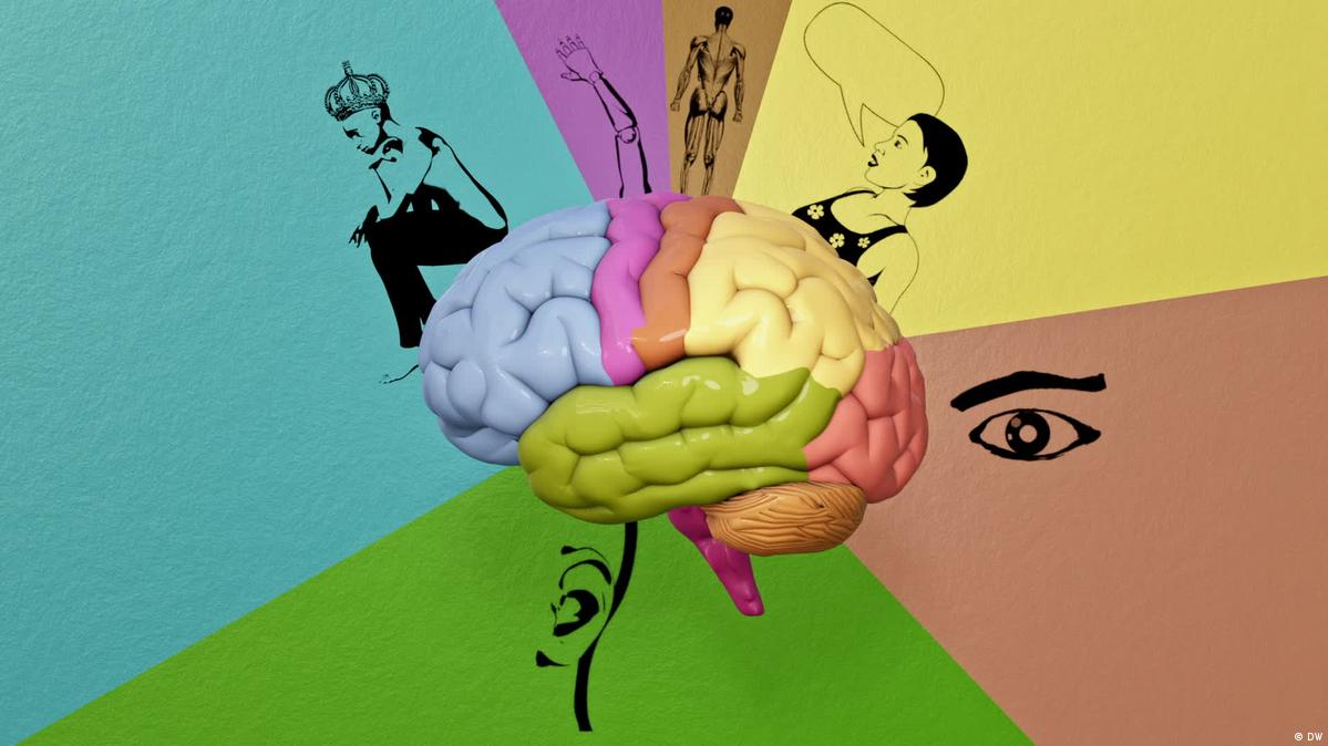 Super Recognizers and Smart Pigeons – DW – 12/23/2021