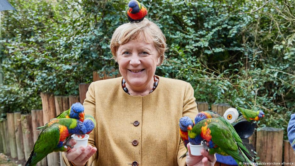Angela Merkel's animal encounters — in pictures – DW – 09/24/2021