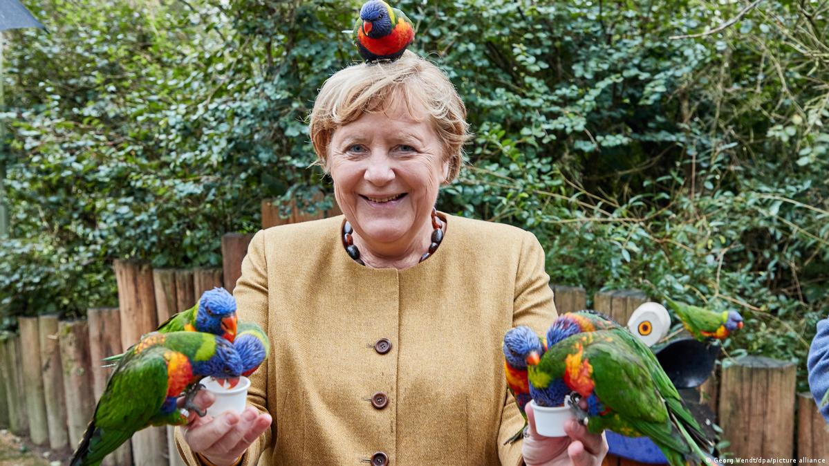 Angela Merkel's animal encounters — in pictures – DW – 09/24/2021