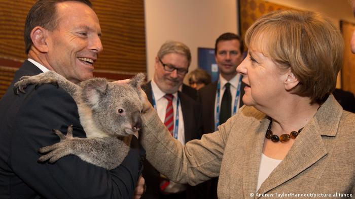 Parrots swoop in for Angela Merkel′s swan song | News | DW | 24.09.2021