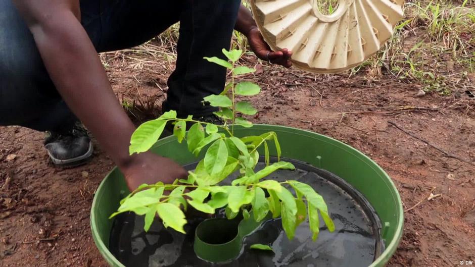 The Waterboxx to reforest the country – DW – 09/30/2021