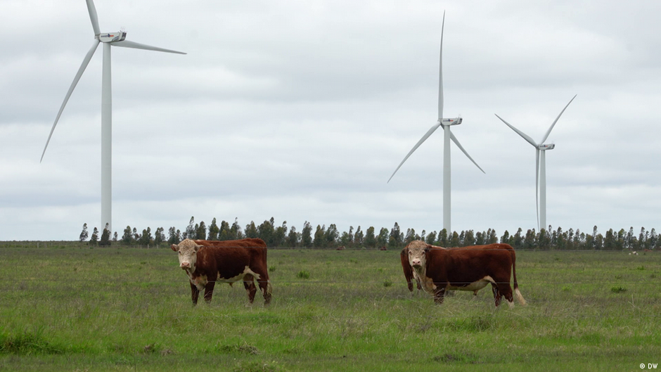 Uruguay's clean energy transition – DW – 10/08/2021