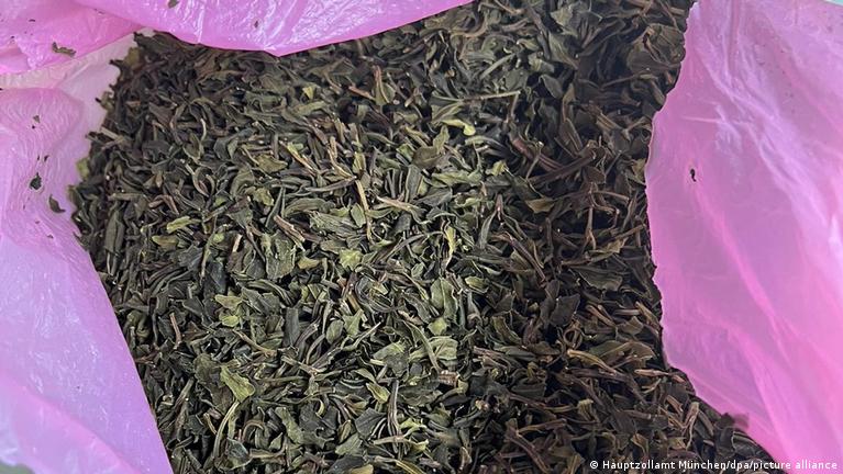 Munich officials seize 1.2 tons of banned stimulant khat