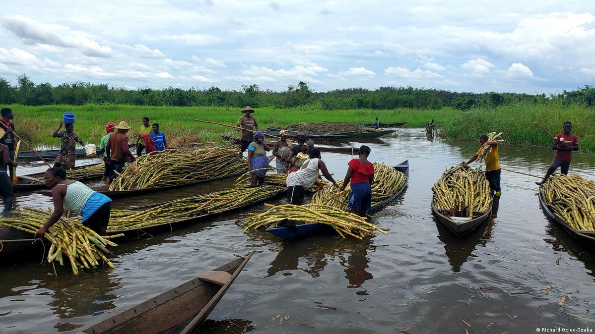 Ghana turns sugarcane waste into fertilizer