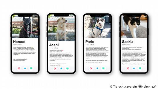 Puppy Tinder – DW – 11/14/2021