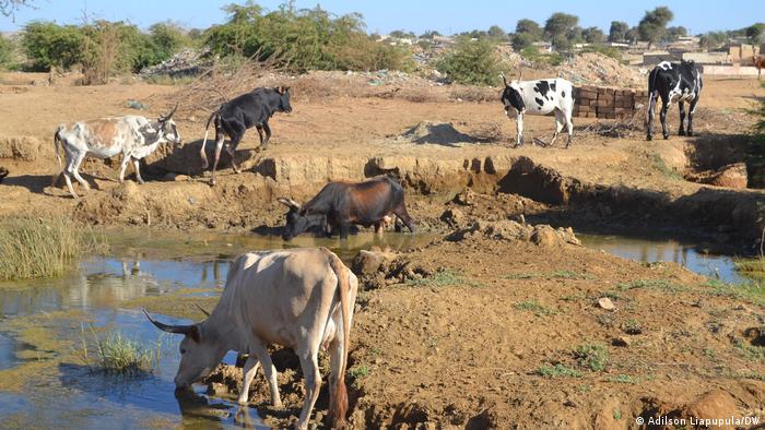 Angola: Seca e preços altos estão a agravar situação de fome no sul do ...