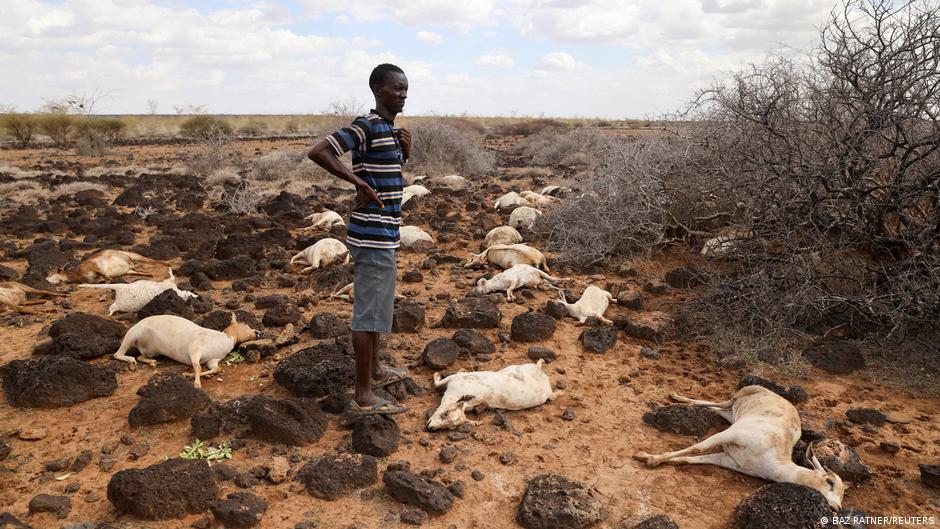 Hey world, what's next? – DW – 02/08/2023