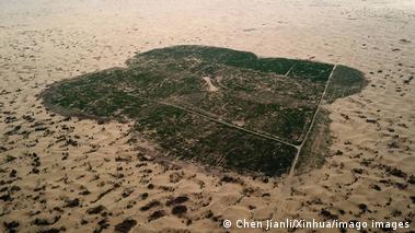 Why fertile land is turning to desert – DW – 12/06/2024