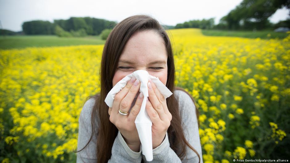Allergies, hay fever and asthma – DW – 04/19/2024