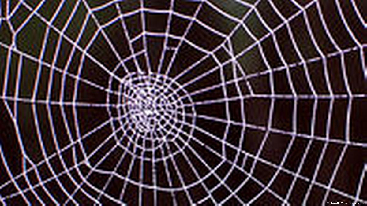 Spider silk – DW – 03/02/2011