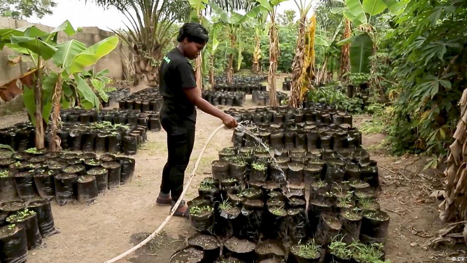 Crowd-farming sprouts in Nigeria – DW – 03/30/2022