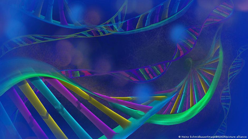 Medieval Swahilis had mixed Asian and African roots — study – DW – 03 ...