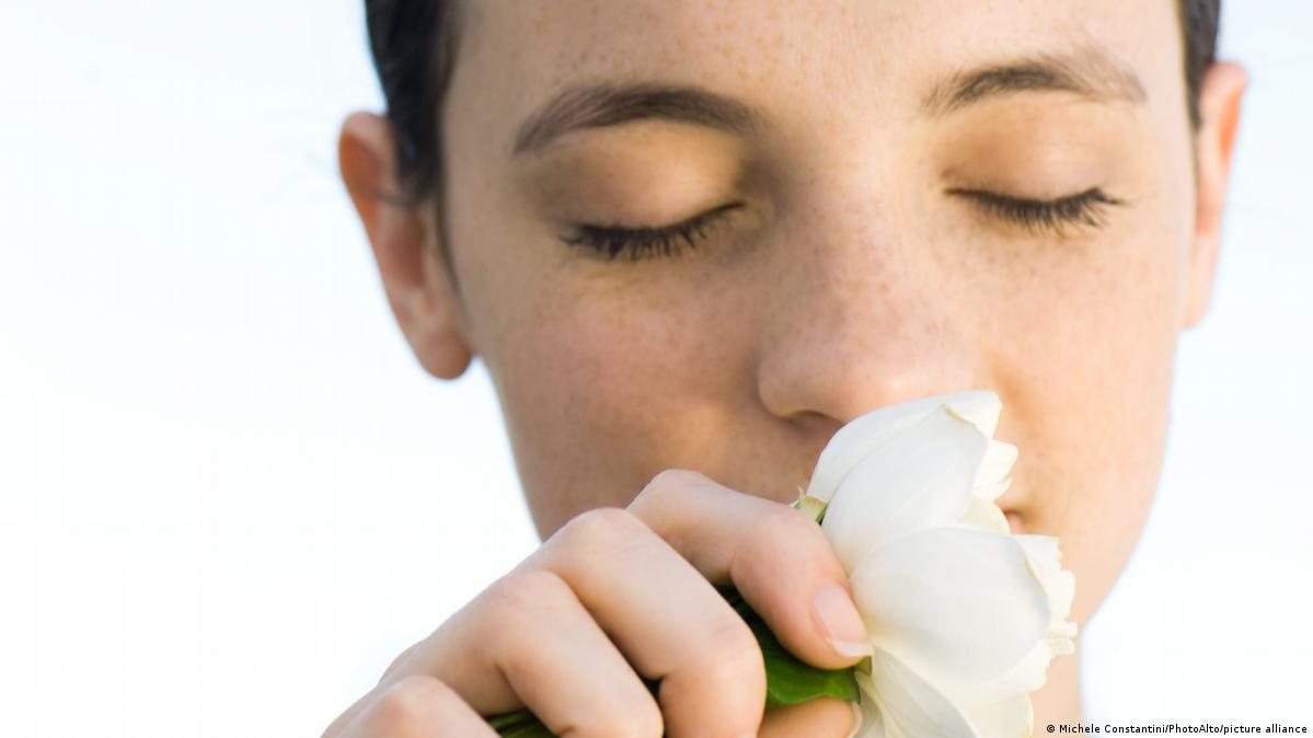 Científicos identifican el olor más agradable para todos – DW – 04/04/2022